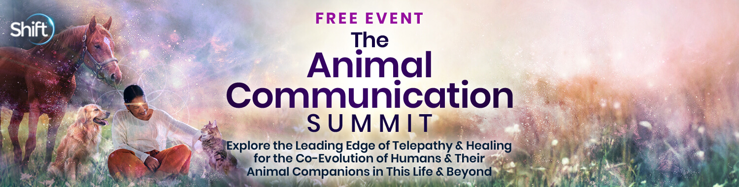 Animal Communication Summit 2026 – The Shift Network Support Center
