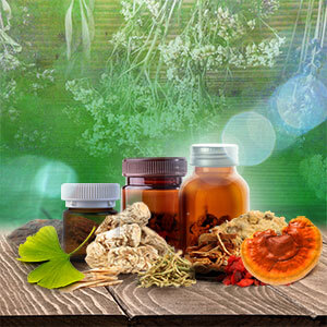 David Crow | The Shift Network