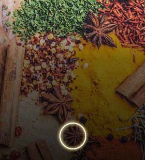 David Crow | The Shift Network