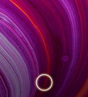 Jessica Dibb | The Shift Network